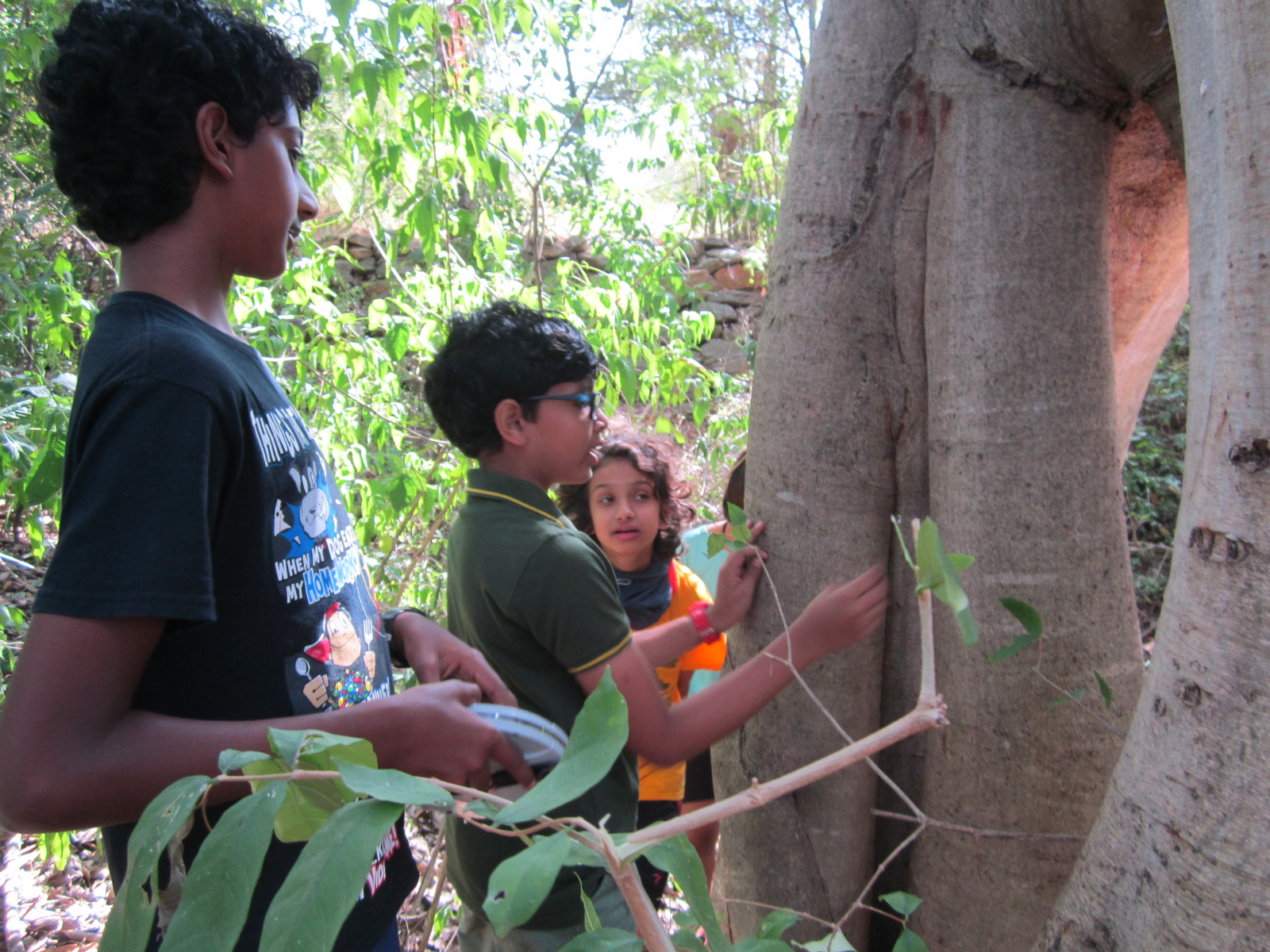 Centre For Learning » Story of a Tree : Mela, 2016