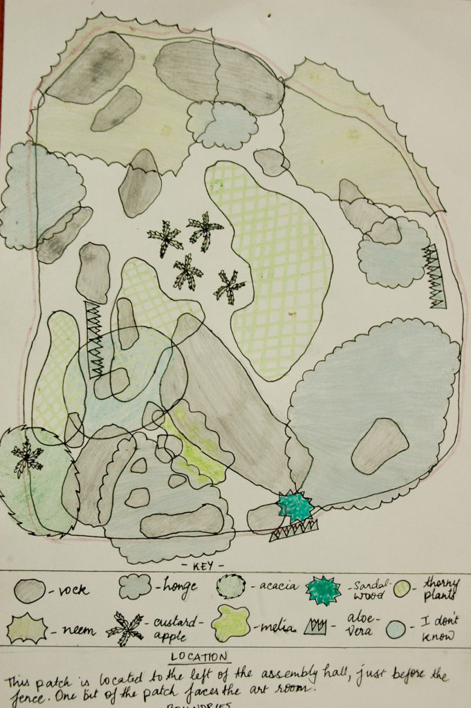 Centre For Learning » Landscape Mapping : Middle School Project, 2012